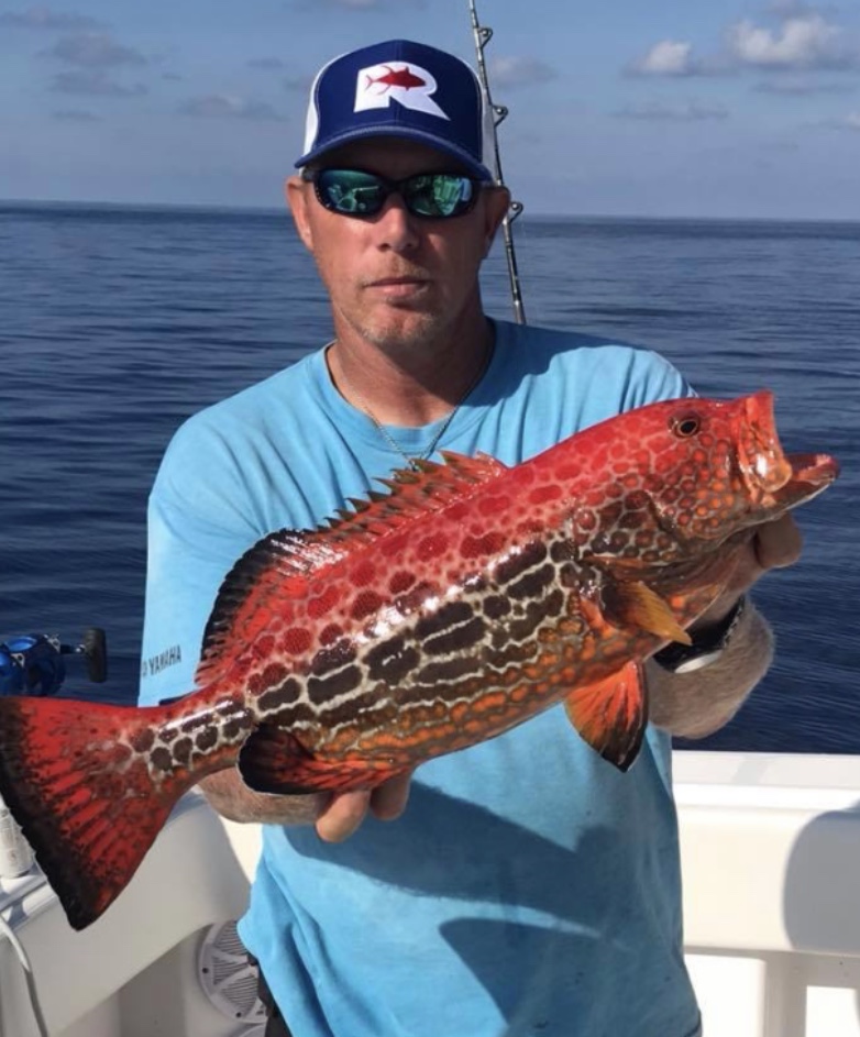 Fireback Grouper Fish Mounts & Replicas by Coast-to-Coast Fish Mounts